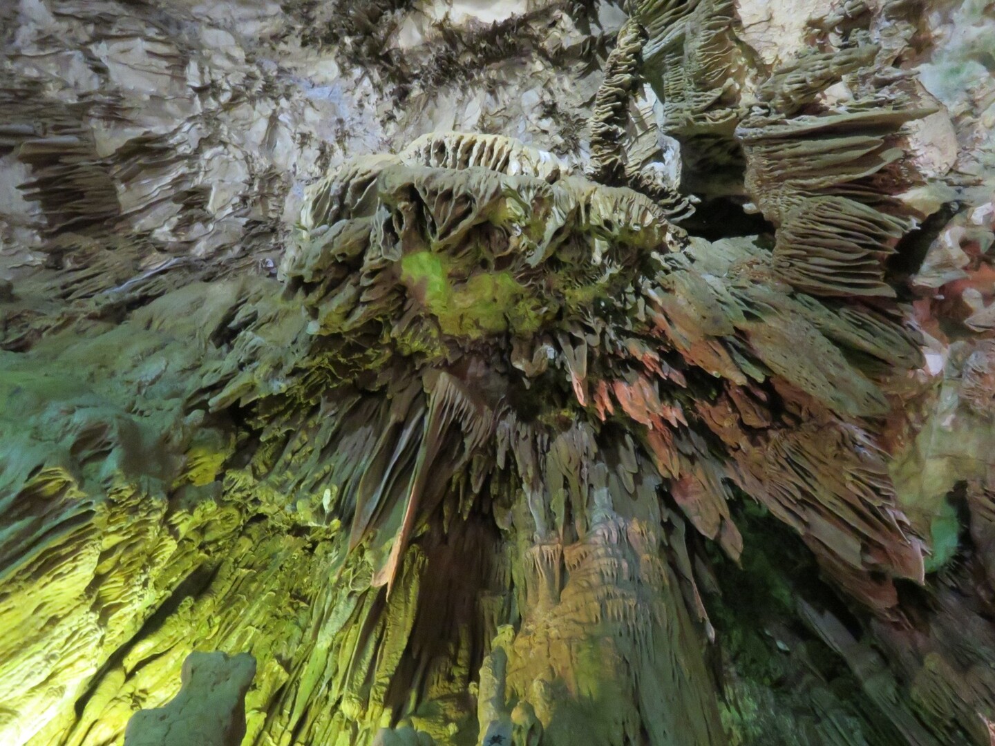 2021.06.17(木) 22:58 / ケロケロ🐸🐸🐸さんのモーメント | YAMAP / ヤマップ