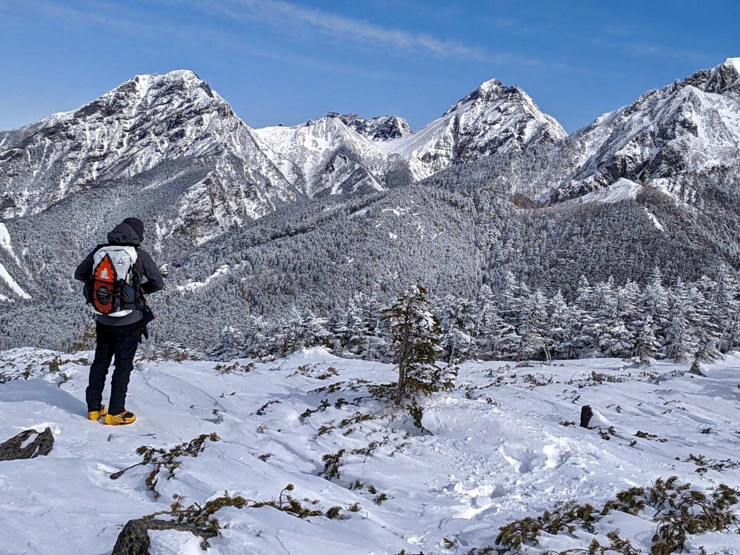 編笠山（ギボシの誘惑） / y.t.k.85さんの八ヶ岳（赤岳・硫黄岳・天狗岳）の活動データ | YAMAP / ヤマップ