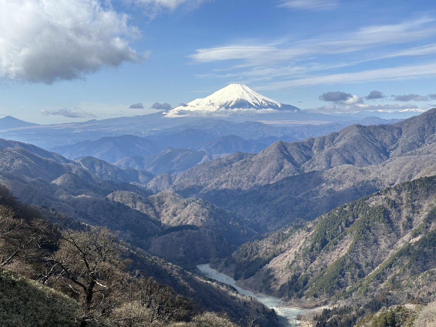 大倉尾根で丹沢山ピストン / cosyauさんの塔ノ岳・丹沢山・蛭ヶ岳の活動データ | YAMAP / ヤマップ