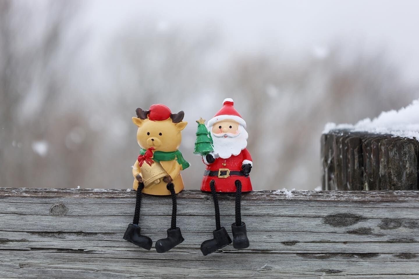 White X’mas🤍鞍掛山 / ぽめ(chantom)さんの岩手山・黒倉山・鞍掛山の活動データ | YAMAP / ヤマップ