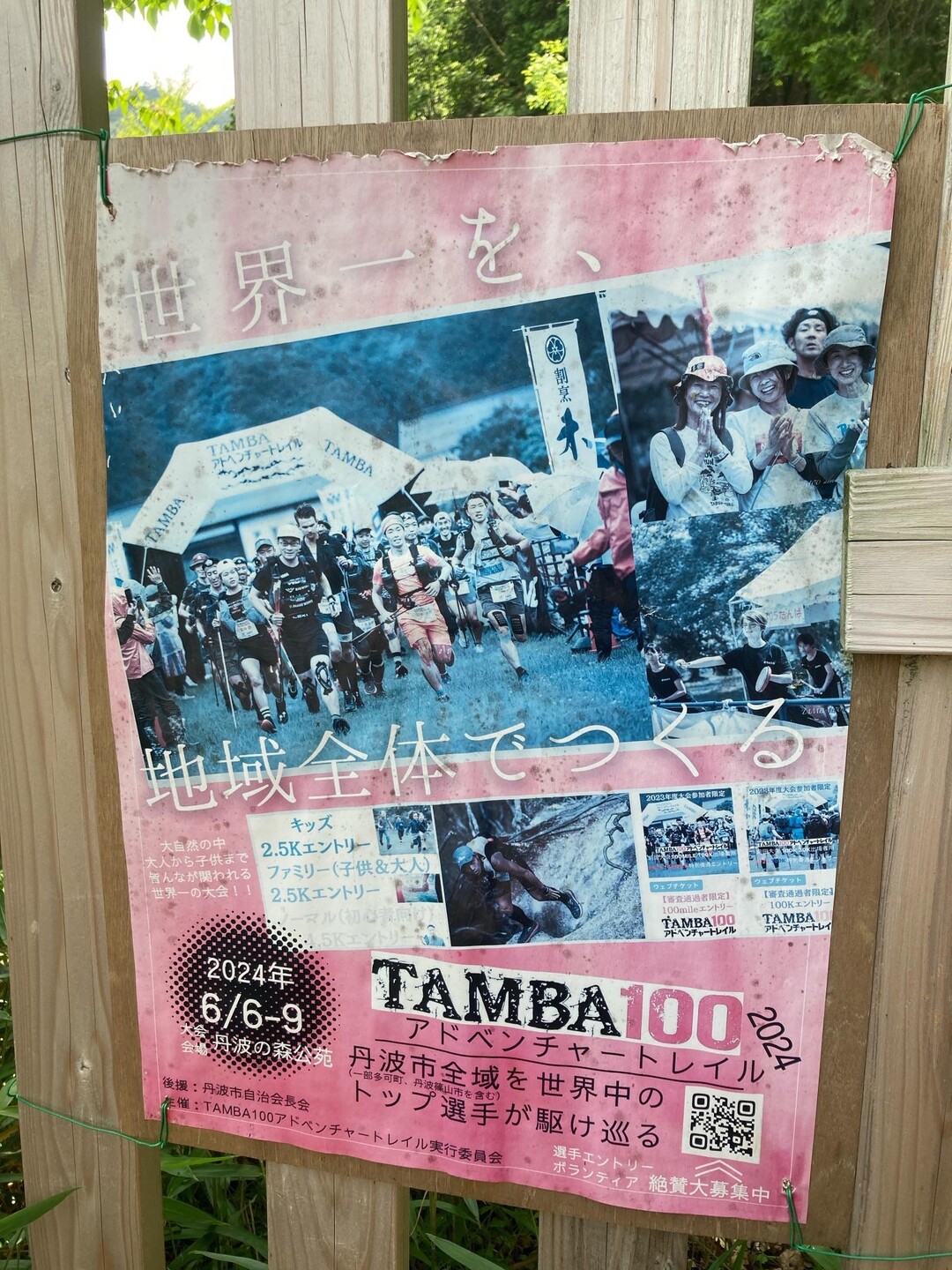 TAMBA100の20K 剣爾山・清水山・珪石山・ニの山・三の山・四の山・深坂北峰・向山・五の山・蛙子峰・梅界・権現山・譲葉山 / まささんの向山・清水山の活動データ | YAMAP / ヤマップ