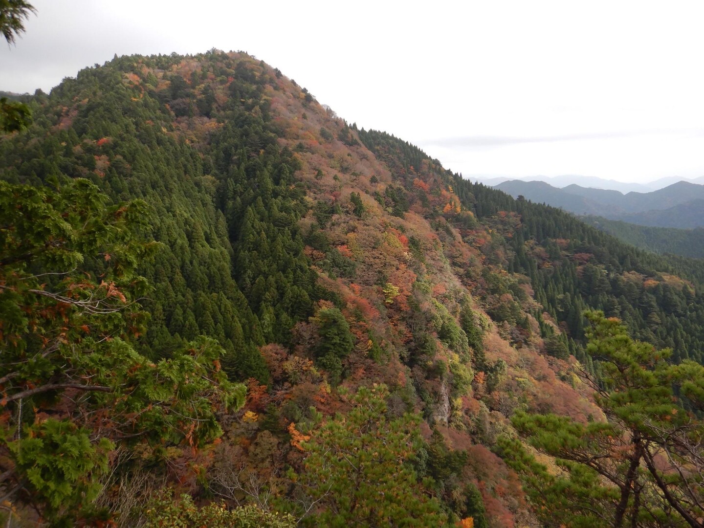 雪彦山 八の字周回コース / tackさんの雪彦山の活動データ | YAMAP / ヤマップ