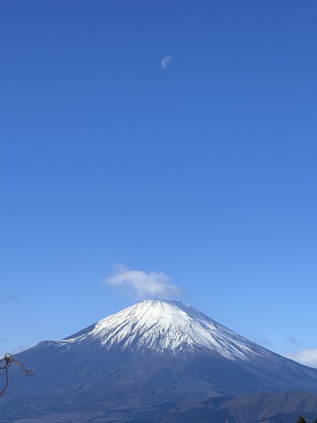 高松山・太尾山・第六天 / ayakaさんの高松山・大野山の活動日記 | YAMAP / ヤマップ