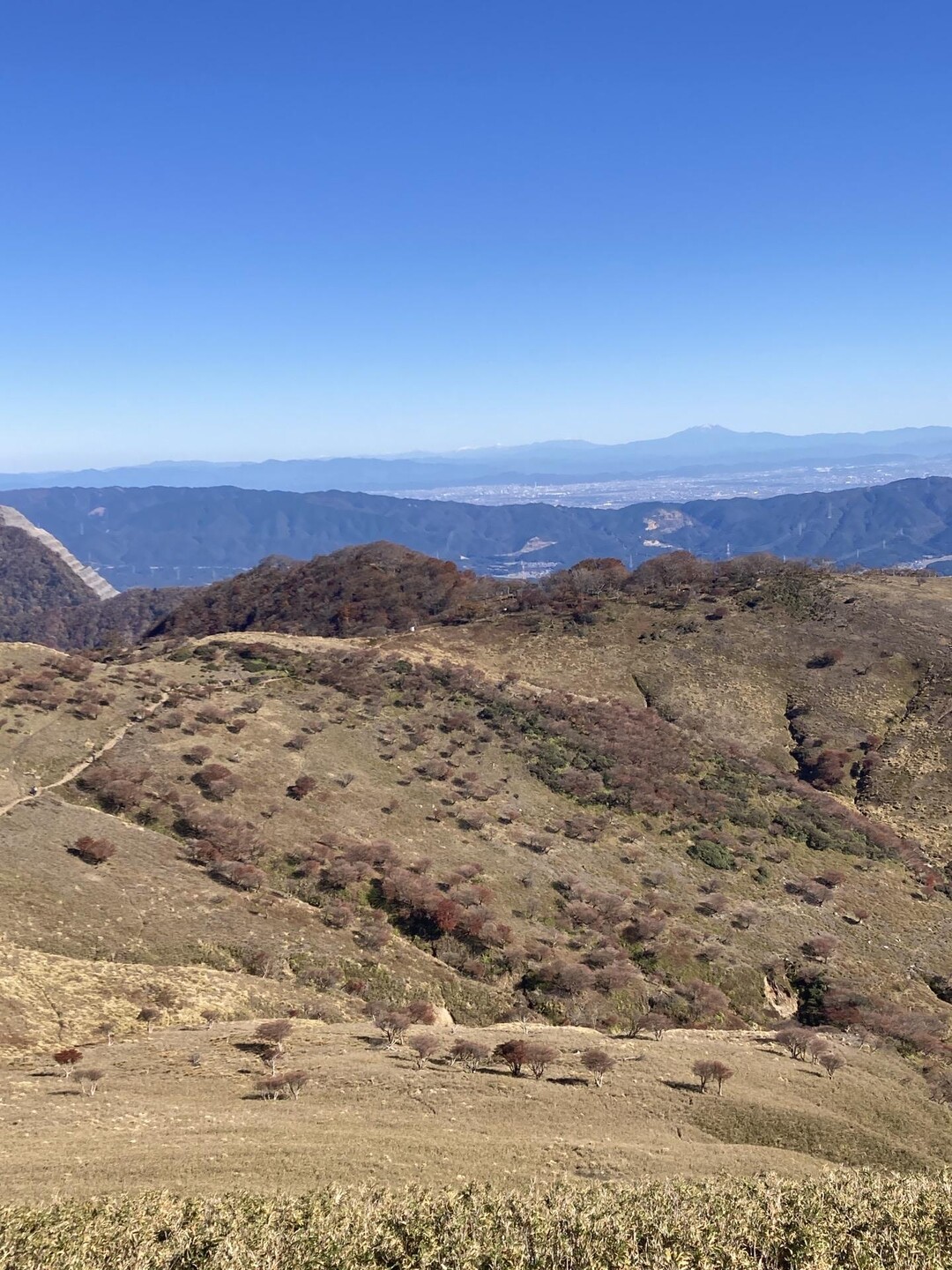 "竜の背を歩く" 金山尾根〜竜ヶ岳〜遠足尾根 / annpapaさんの竜ヶ岳の活動データ | YAMAP / ヤマップ