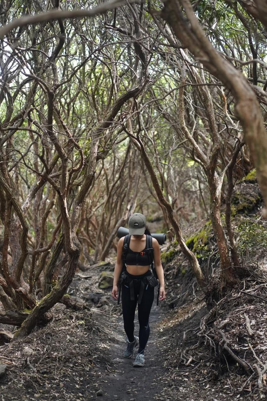 Mariのページ | YAMAP / ヤマップ