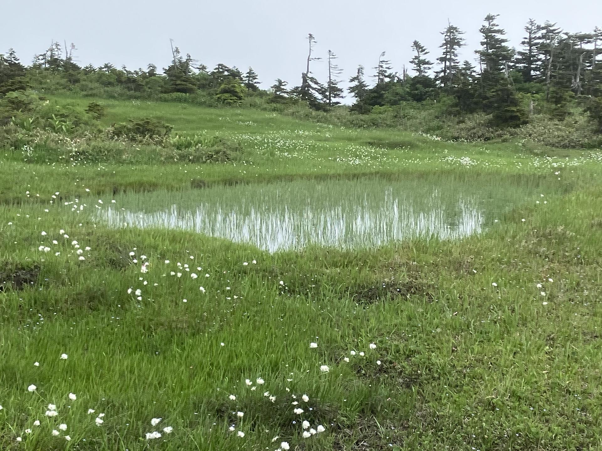 神楽ヶ峰・苗場山 / JunJunさんの苗場山・赤倉山・佐武流山の活動データ | YAMAP / ヤマップ