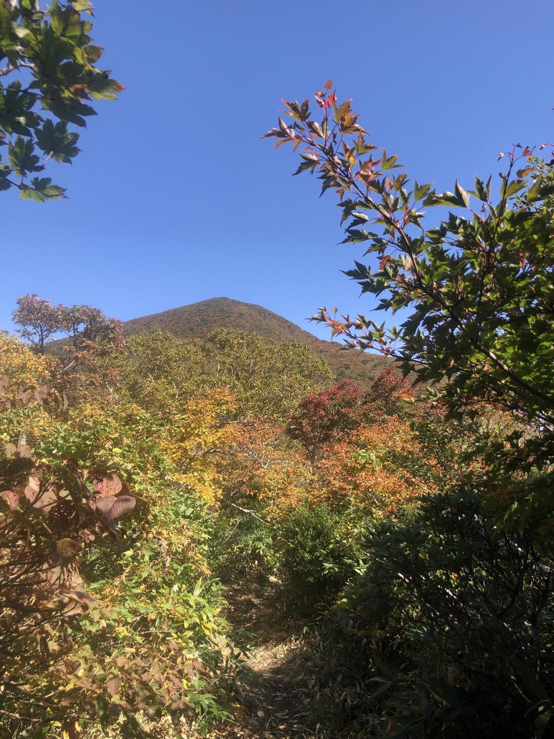 聖山平–後烏帽子岳 / carolさんの蔵王山・雁戸山・不忘山の活動データ | YAMAP / ヤマップ