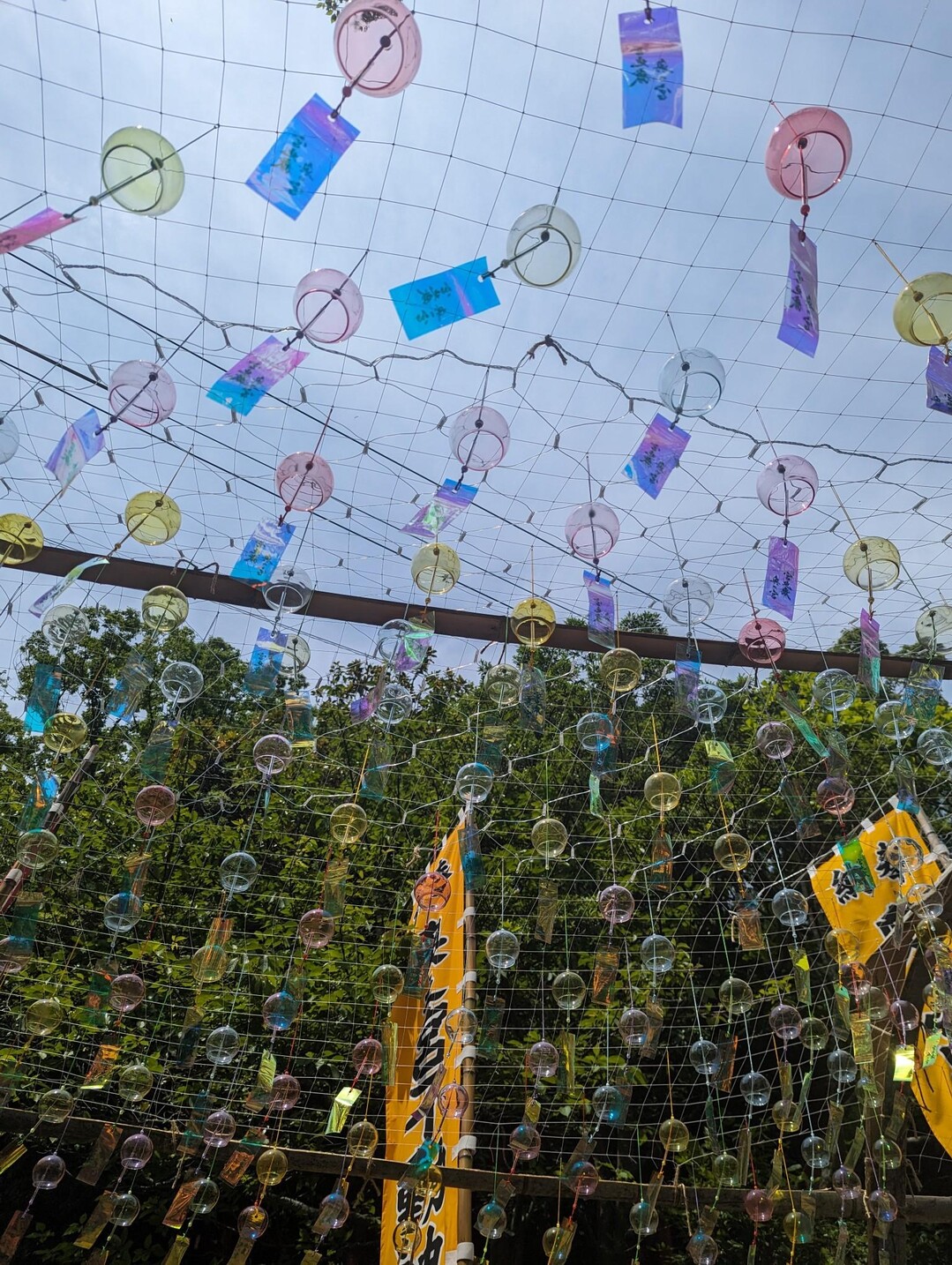 宮地獄神社奥の院からぐるっと / kaoさんの宮地山・在自山の活動データ | YAMAP / ヤマップ