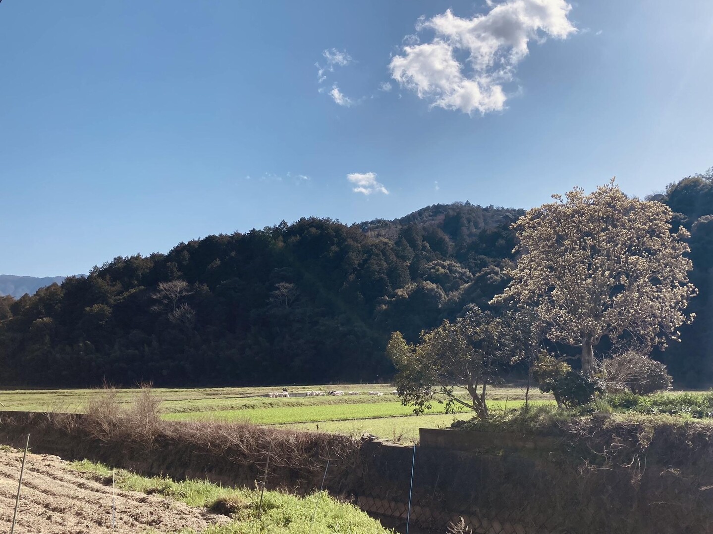 四国八十八ヶ所 67番札所 大興寺 雲... / koyunisoさんのモーメント | YAMAP / ヤマップ