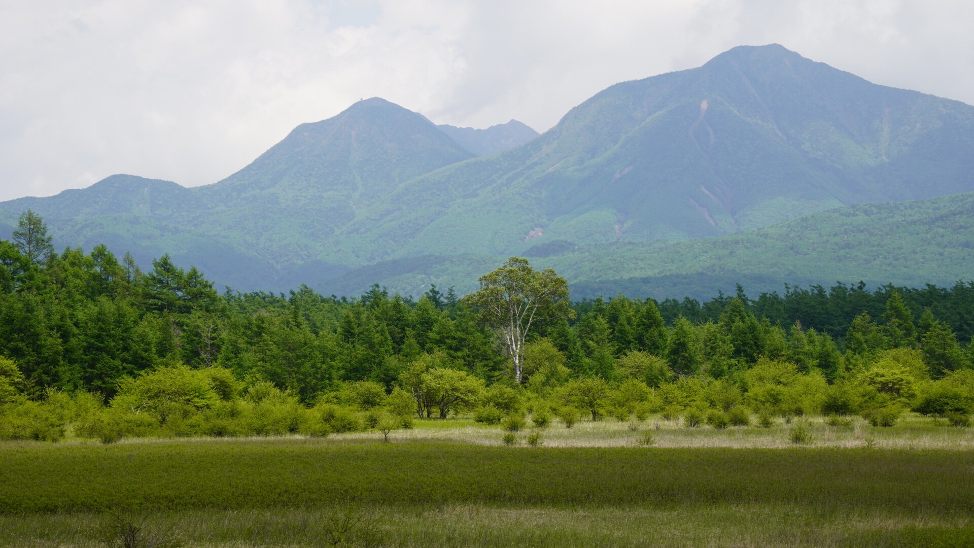 小田代ヶ原ハイキング / クボリン 1123226さんの男体山の活動データ | YAMAP / ヤマップ