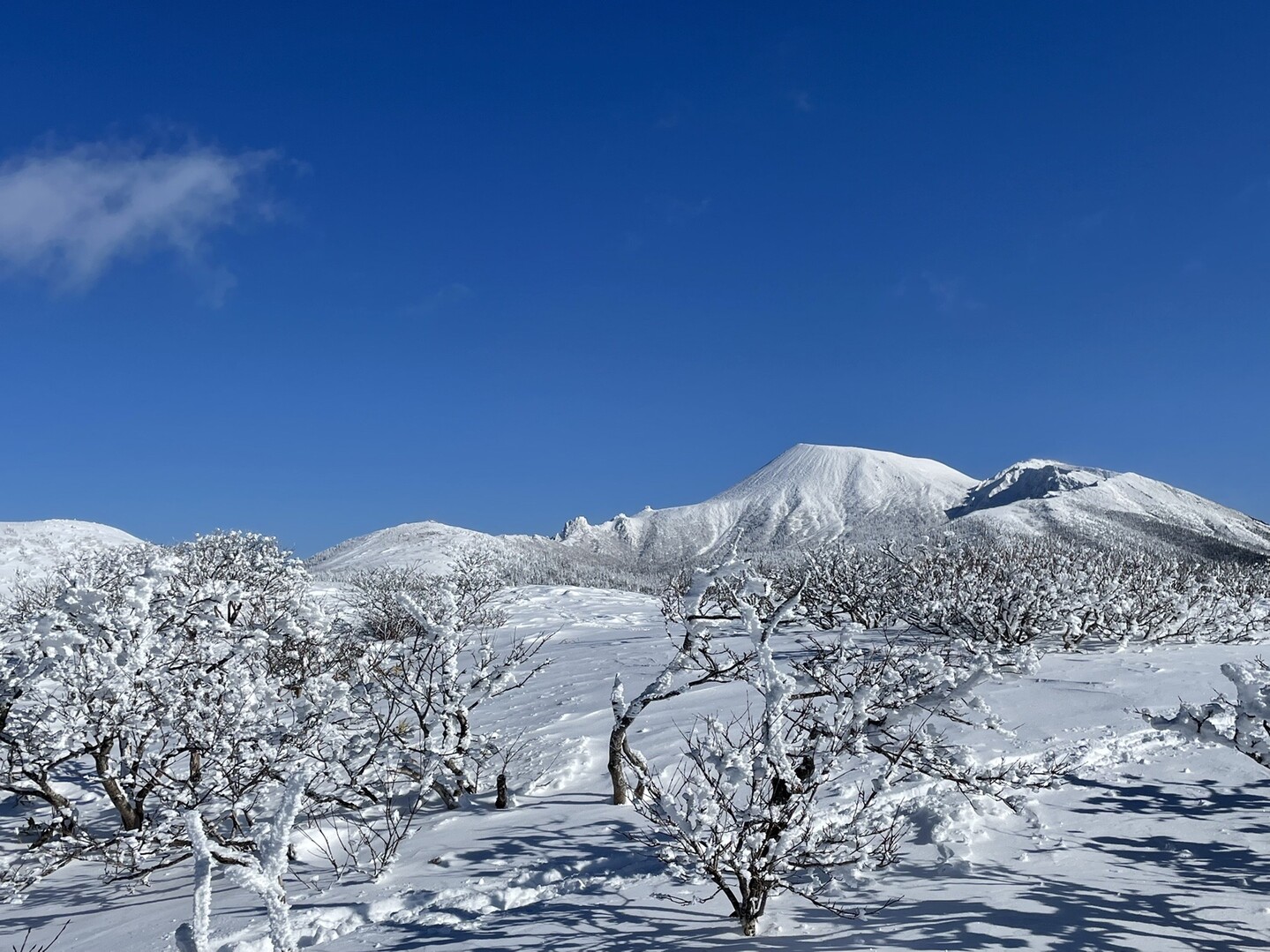 鎌倉森・犬倉山 スノーシューハイク / hirosyさんの岩手山・黒倉山・鞍掛山の活動データ | YAMAP / ヤマップ