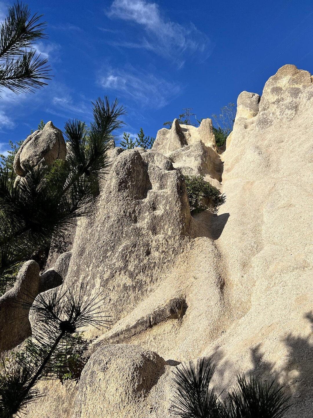 荒地山・なかみ山 / REYさんの六甲山・長峰山・摩耶山の活動データ | YAMAP / ヤマップ