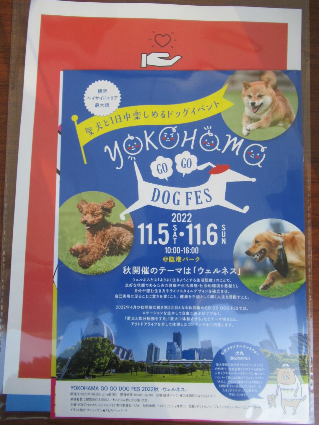 横浜 YOKOHAMA GO GO DOG FES. 2022 / ryuyuさんの横浜市 中央エリアの活動データ | YAMAP / ヤマップ