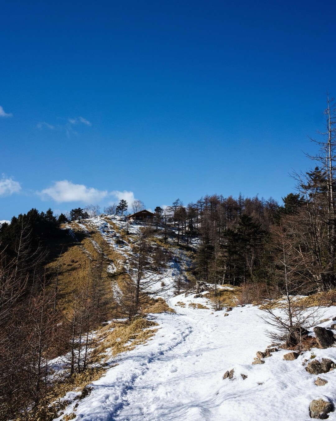 雲取山 20250110-11 / stさんの雲取山・鷹ノ巣山・七ツ石山の活動データ | YAMAP / ヤマップ