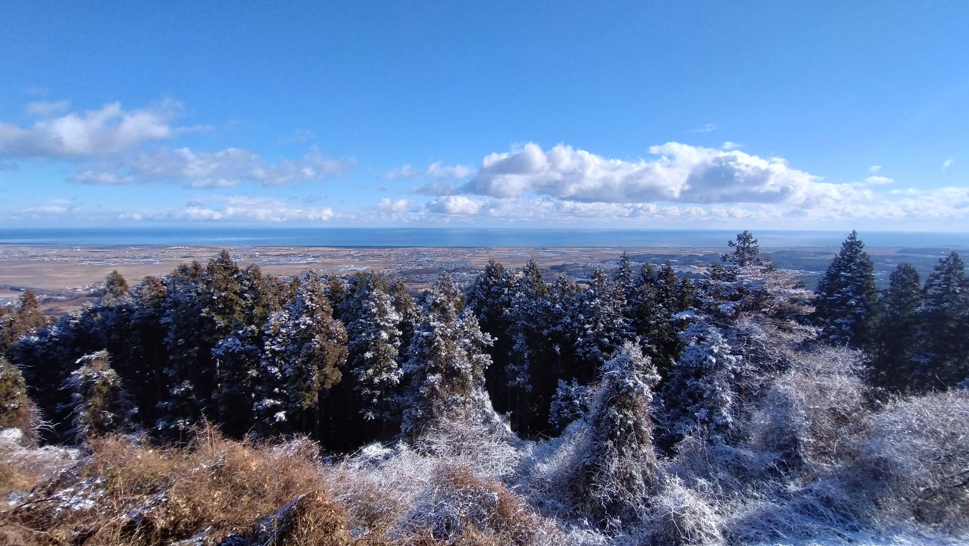 深山 / けーにーさんの深山の活動データ | YAMAP / ヤマップ