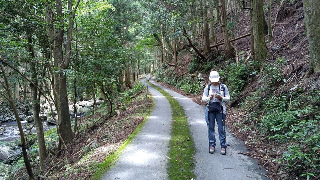 himeのページ | YAMAP / ヤマップ