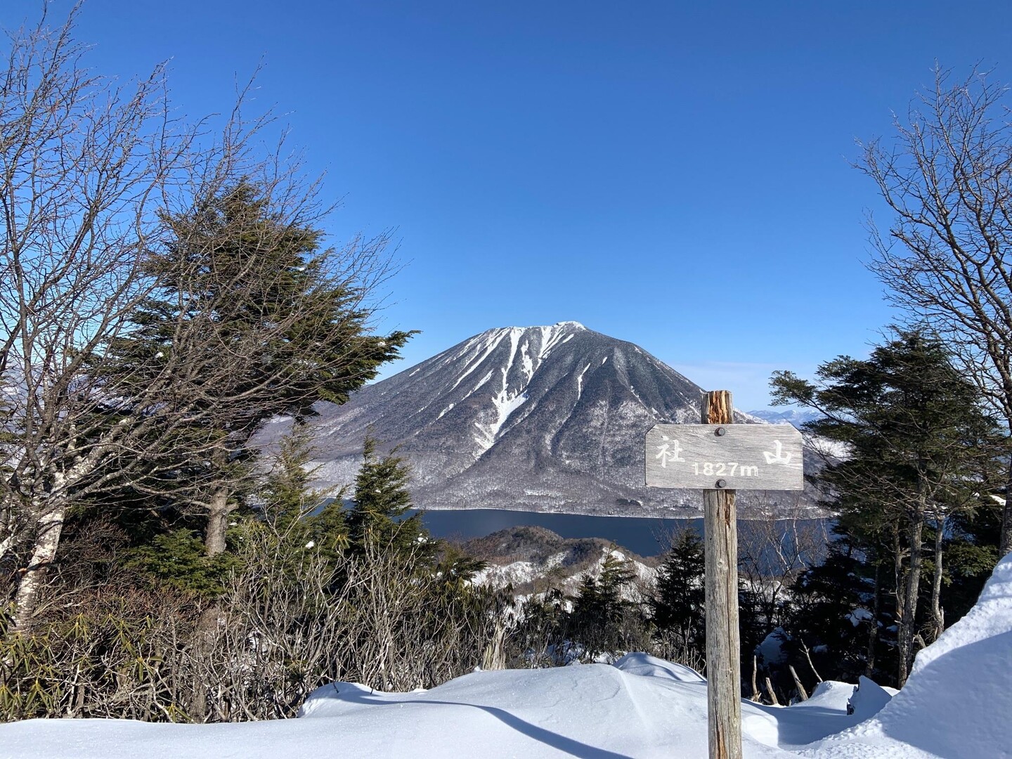 雪の社山♪ / mini.TMKさんの社山・半月山の活動データ | YAMAP / ヤマップ