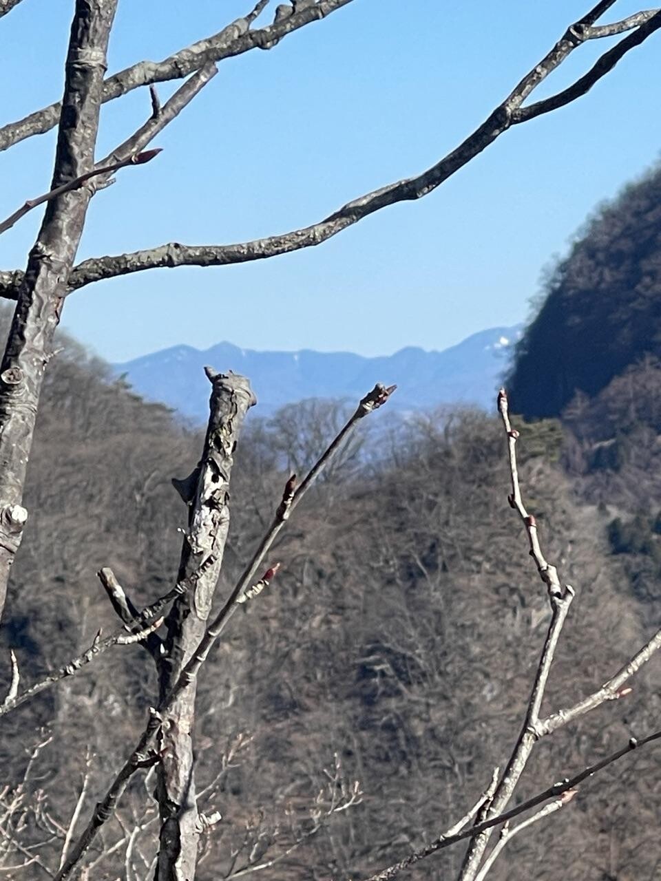 shuのページ | YAMAP / ヤマップ