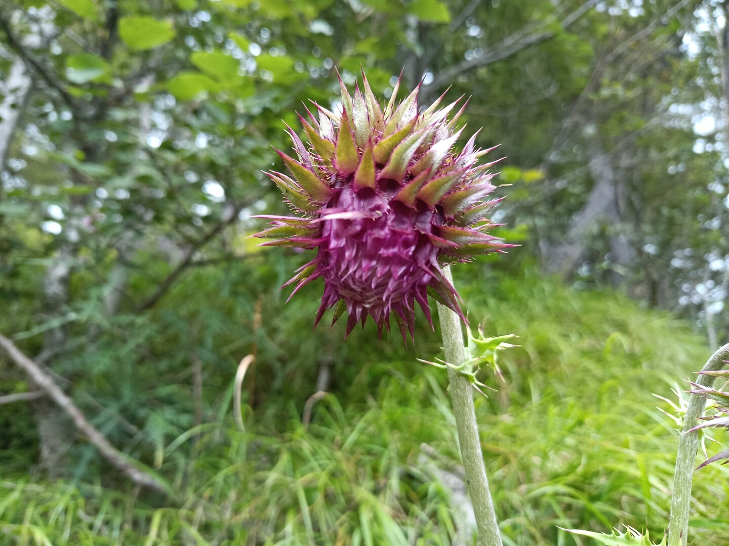 無事小屋閉め完了、そしめ下界に下山。 フ... / k420さんのモーメント | YAMAP / ヤマップ