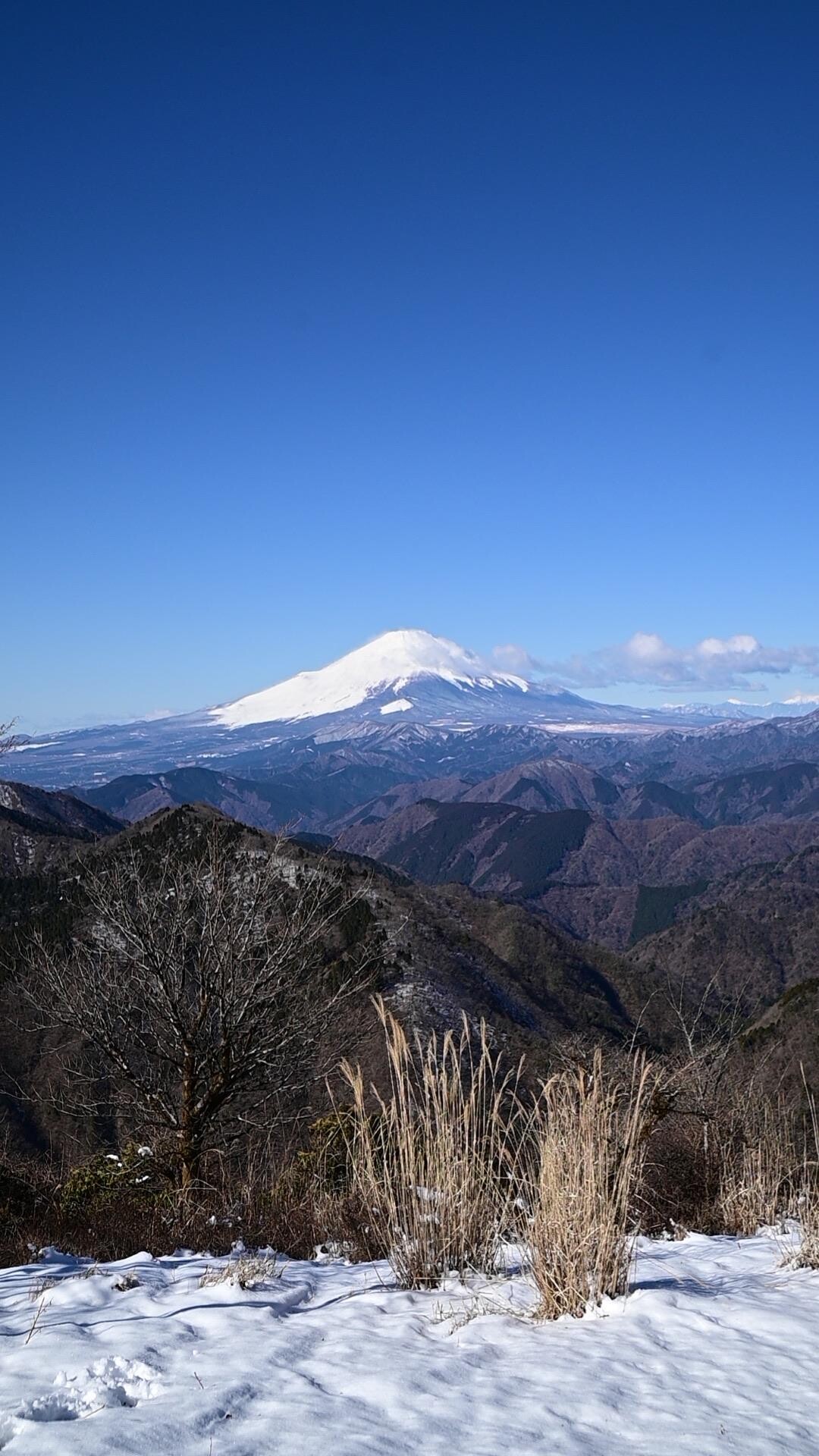 櫟山・栗ノ木洞・鍋割山 / Mr.Pさんの塔ノ岳・丹沢山・蛭ヶ岳の活動データ | YAMAP / ヤマップ