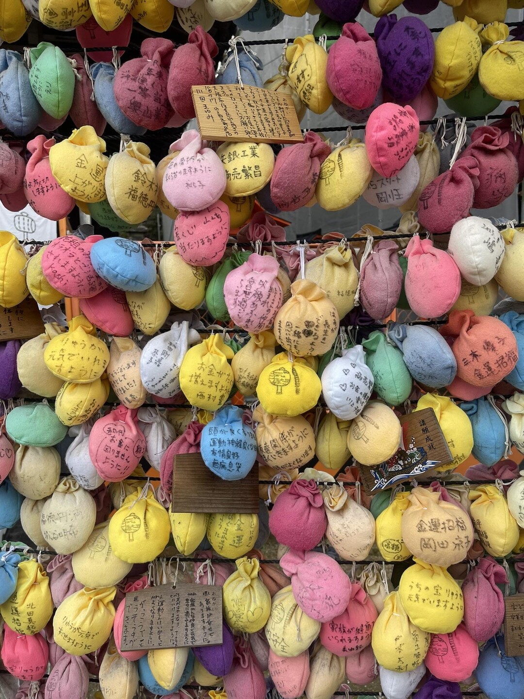 ㊗️800座&STM西側終了👍 / ロックさんのポンポン山・釈迦岳・小塩山・若山の活動データ | YAMAP / ヤマップ