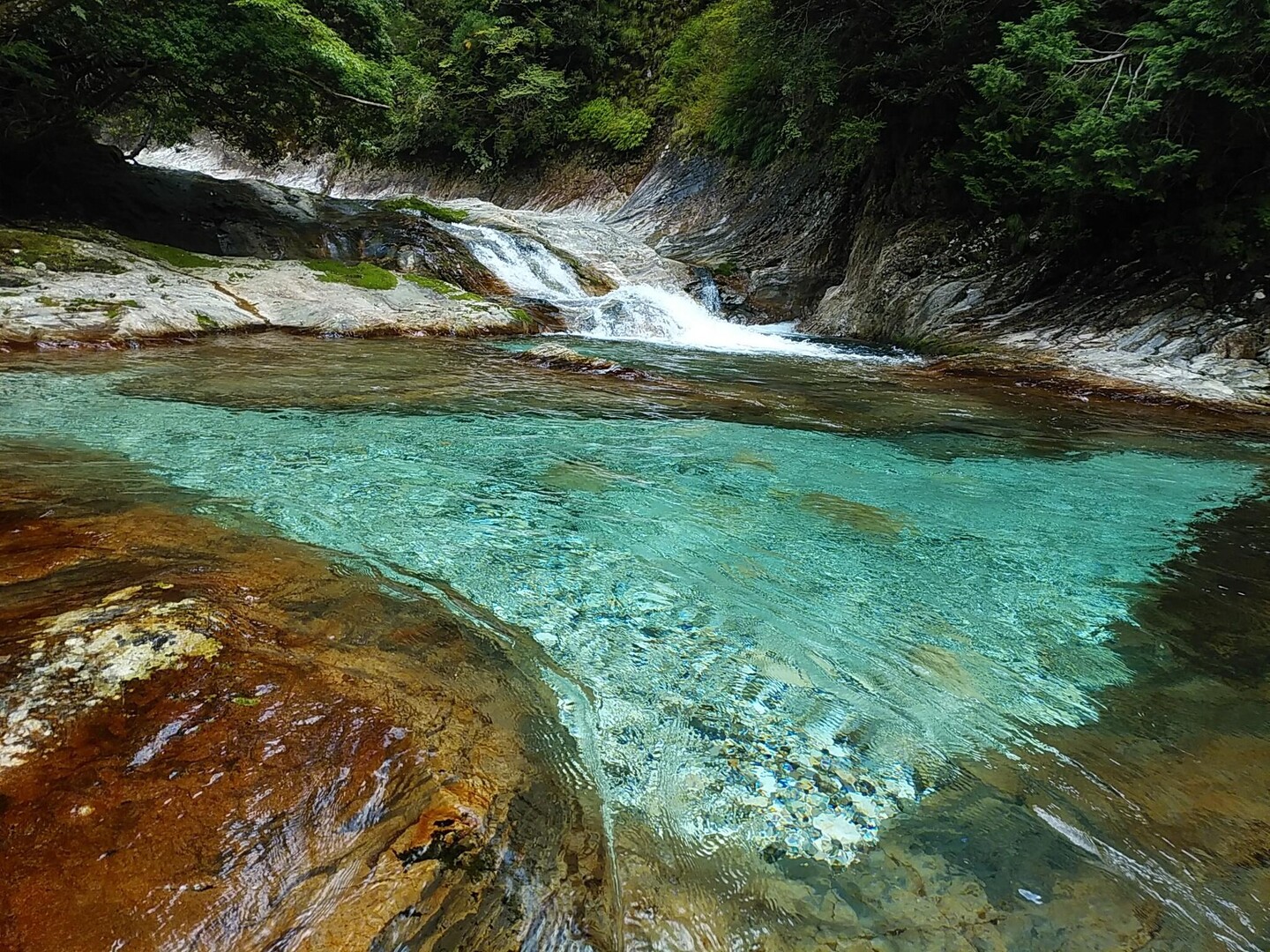 🐹Sawa～ズ(動画ｱﾘ) / にゃーおさんの釈迦ヶ岳・大日岳・涅槃岳の活動データ | YAMAP / ヤマップ