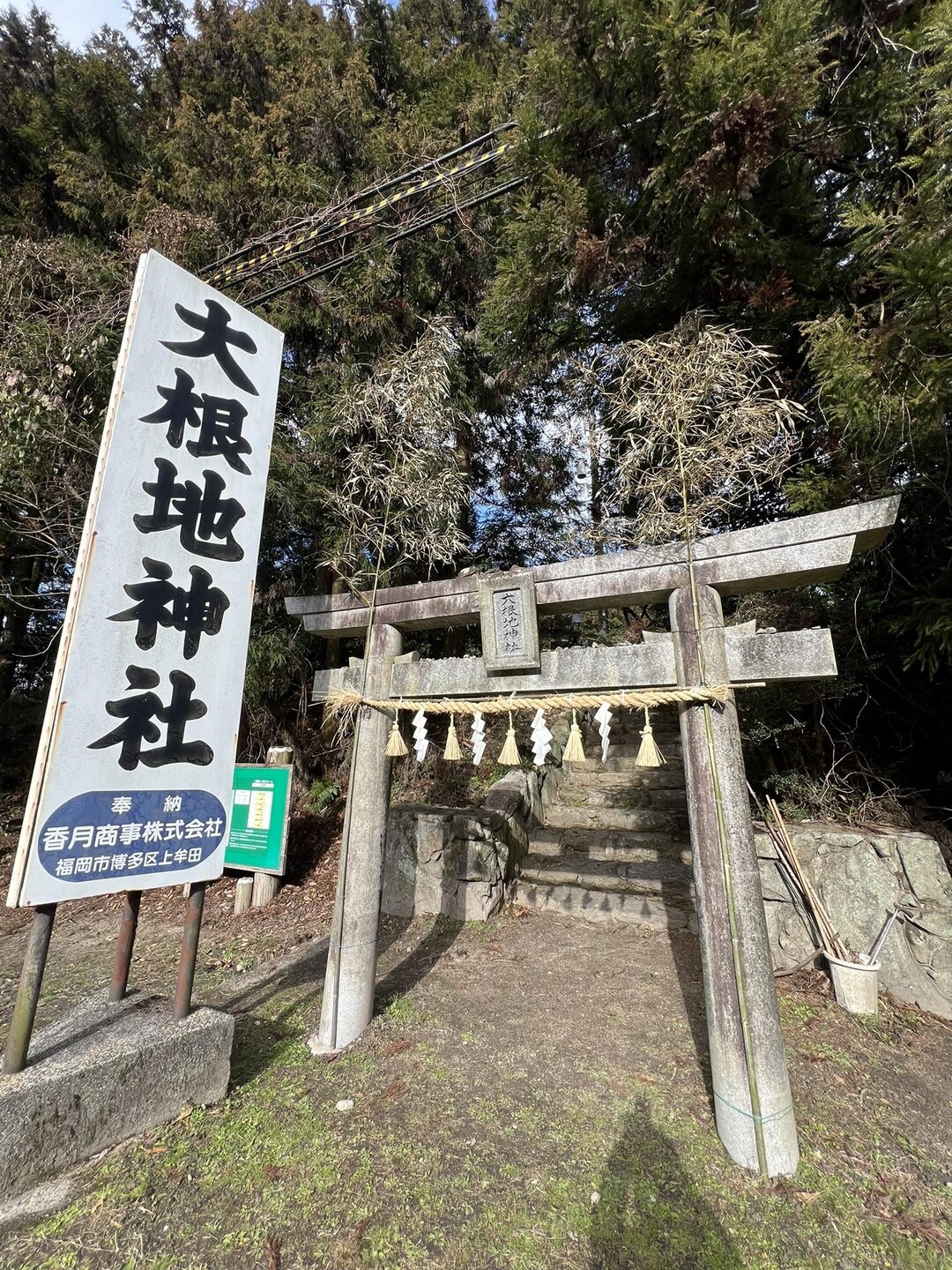 大根地山 / MOさんの大根地山の活動データ | YAMAP / ヤマップ