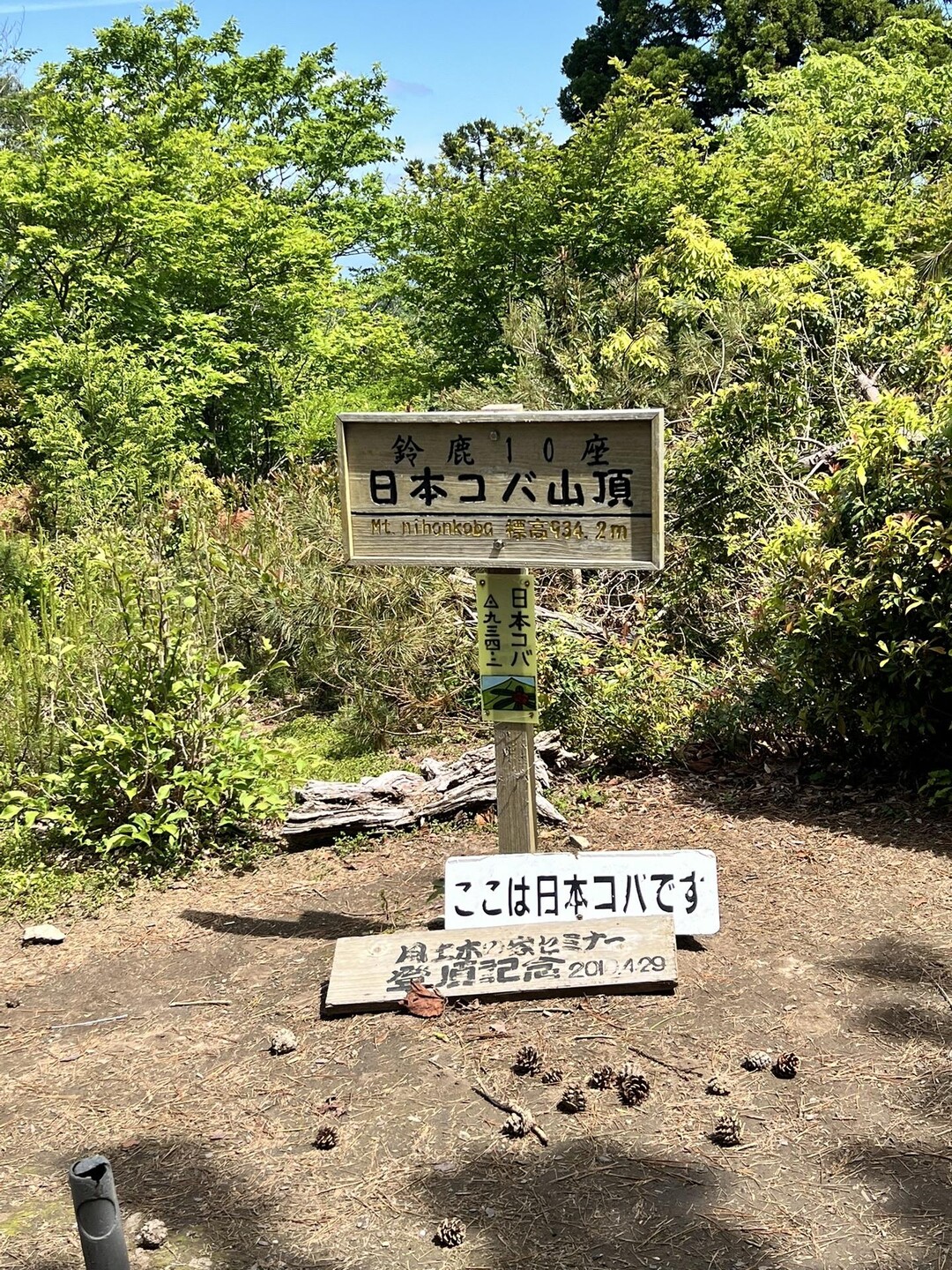 日本コバ・衣掛山 / Monica さんの日本コバの活動データ | YAMAP / ヤマップ