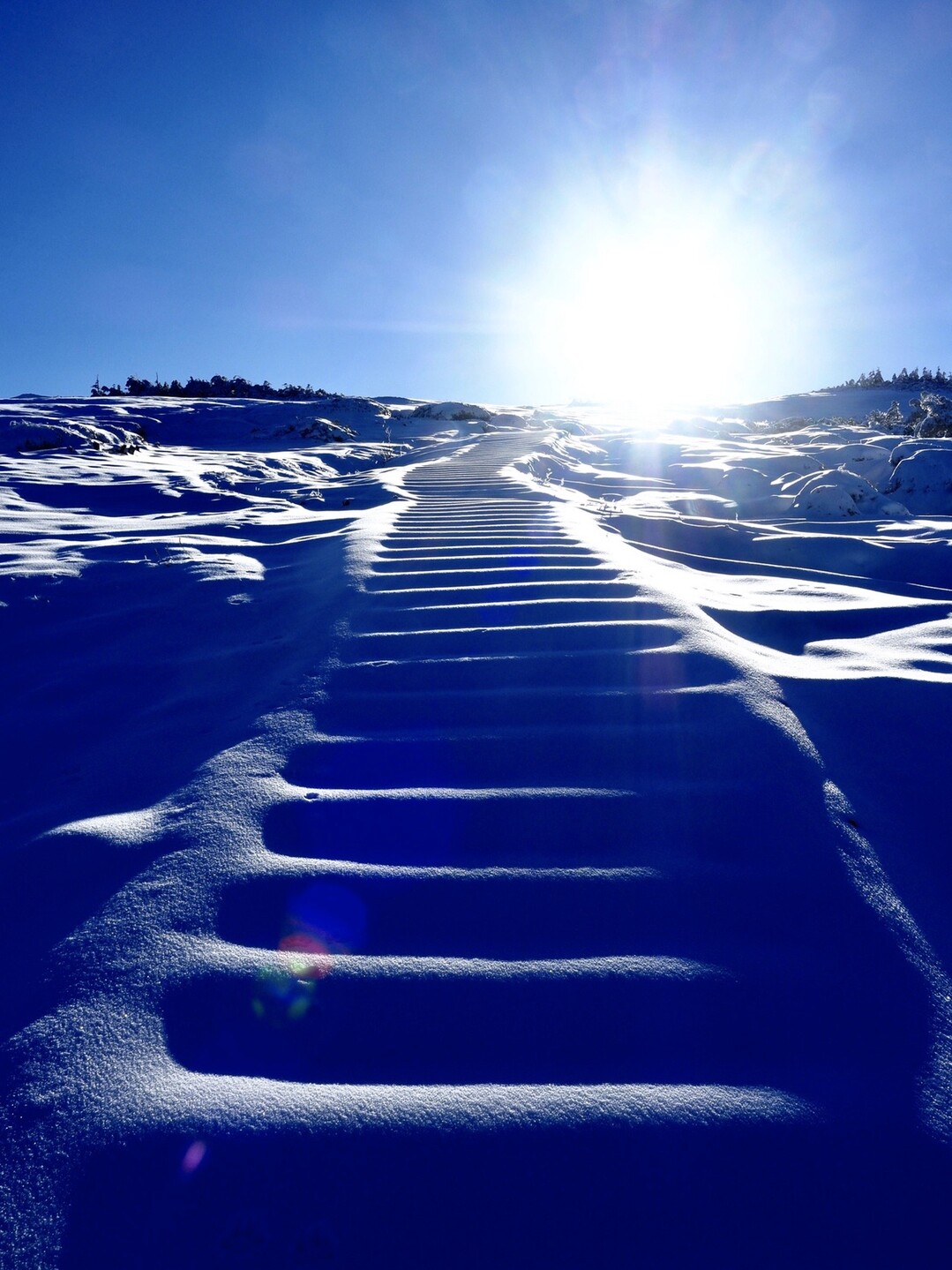 薬師岳 / syoさんの水晶岳・薬師岳・黒部五郎岳・鷲羽岳・三俣蓮華岳・湯俣の活動データ | YAMAP / ヤマップ