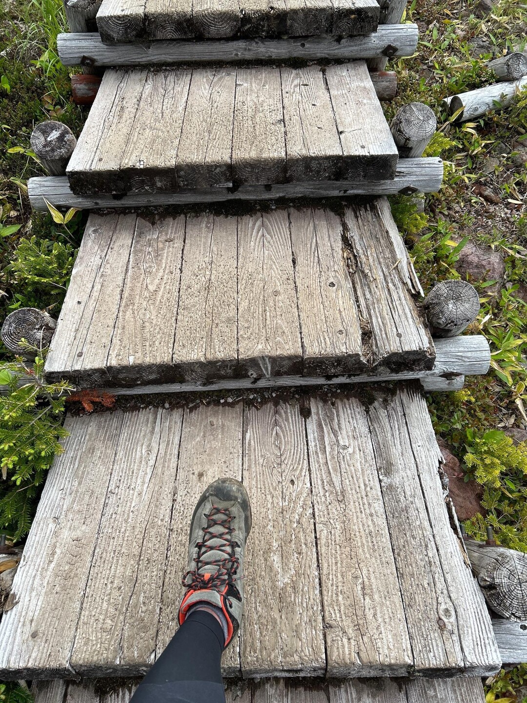 PANAPPさんの投稿したフィールドメモ | YAMAP / ヤマップ