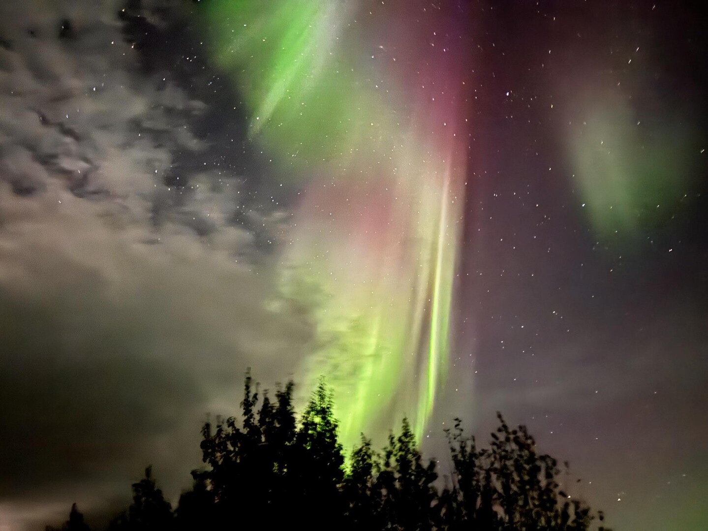 8月後半から行ったユーコン川・川下り〜。... / TOMO_Peponiさんのモーメント | YAMAP / ヤマップ