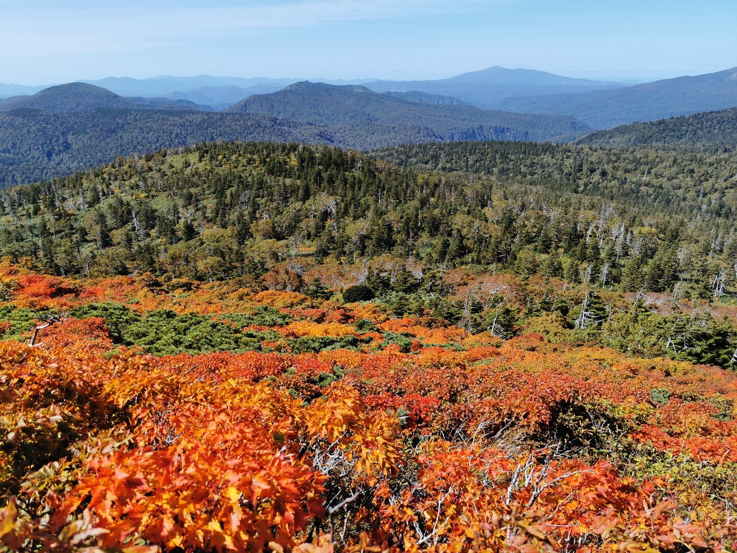 裏岩手縦走路 もちろん縦走はしない / yama-yuさんの三ッ石山・大深岳・諸桧岳の活動データ | YAMAP / ヤマップ