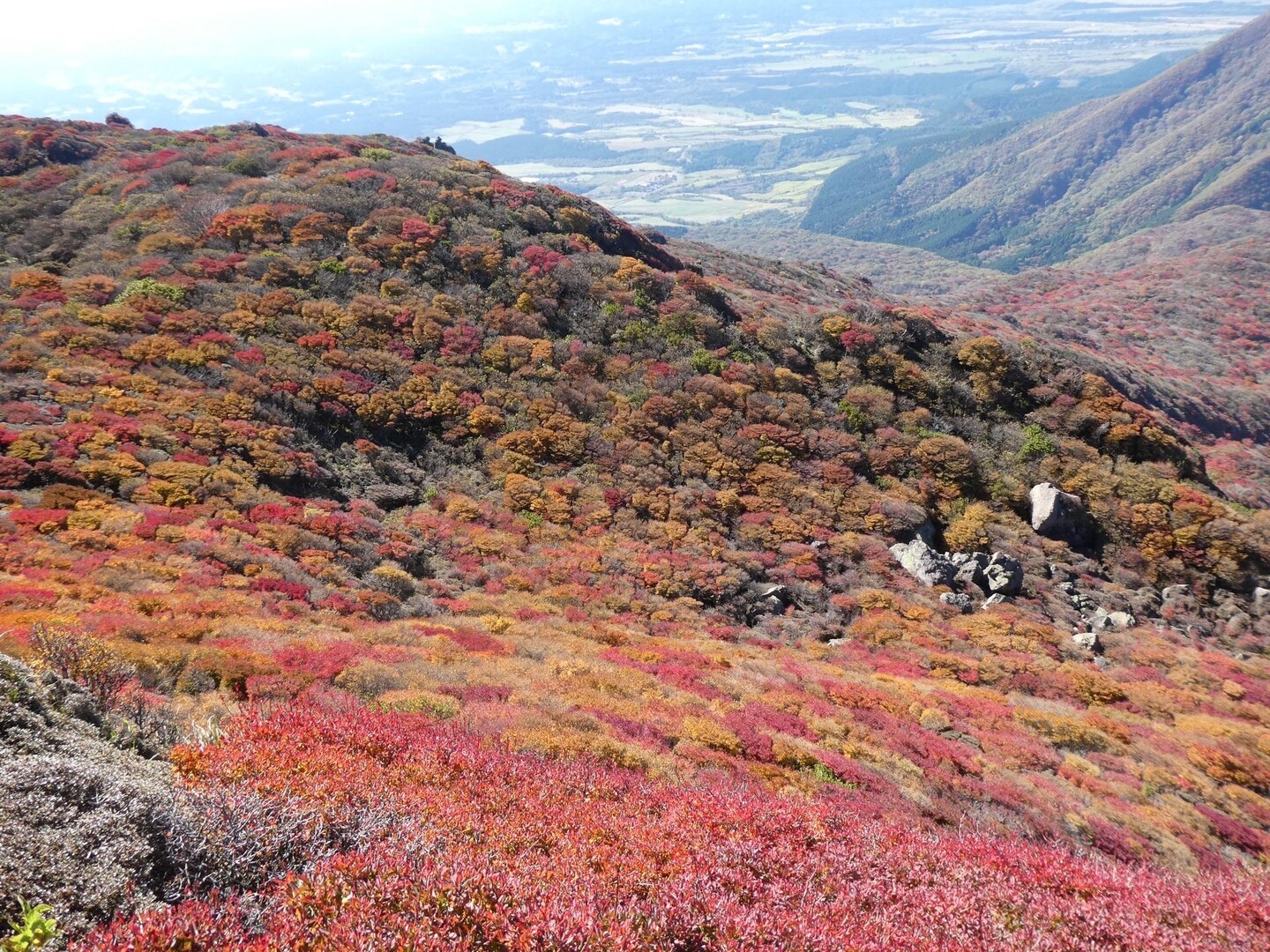 大船山 / kinjunさんの九重山（久住山）・大船山・星生山の活動データ | YAMAP / ヤマップ