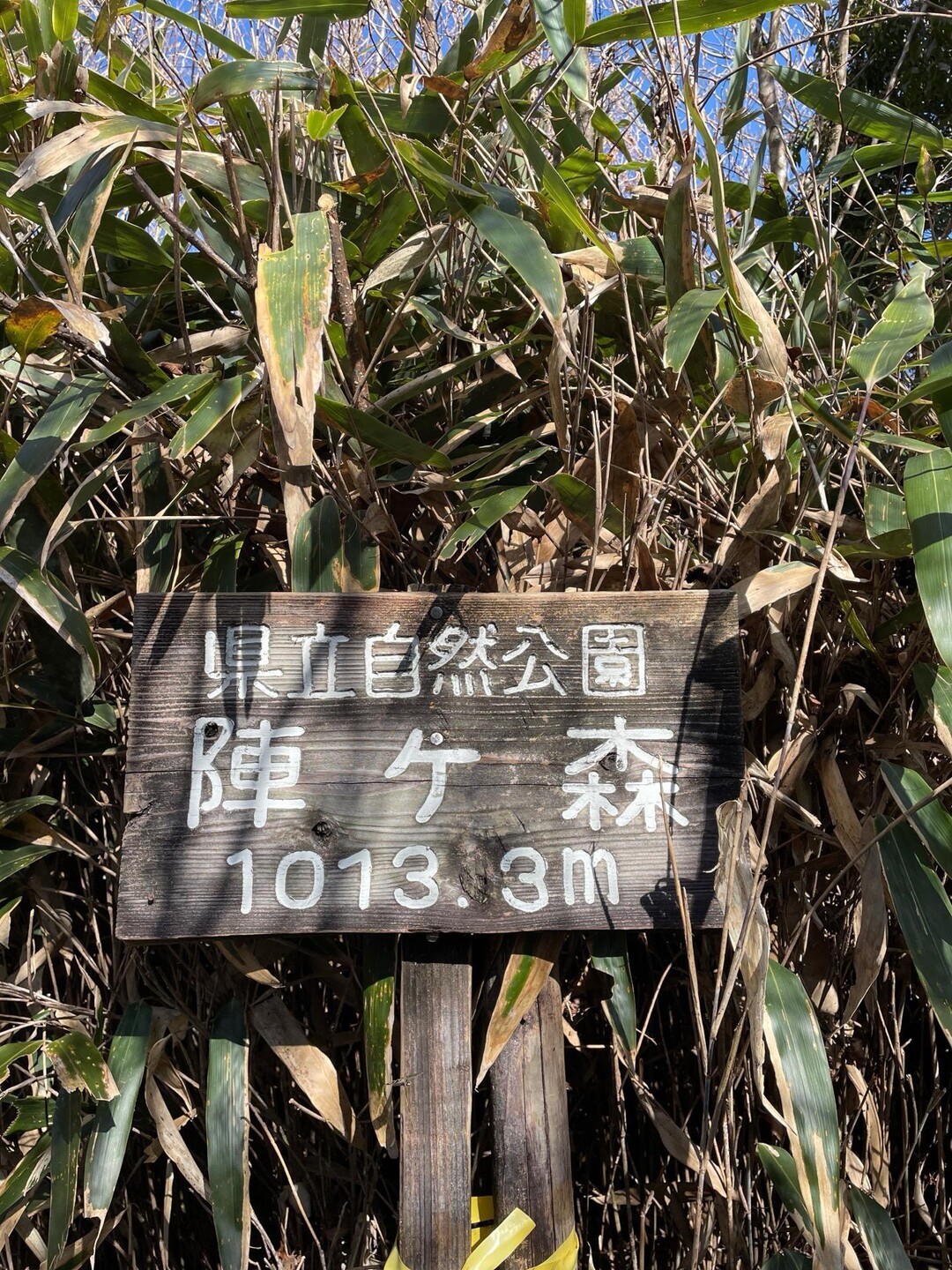 陣ヶ森 / R e iさんの国見山（雪光山）の活動日記 | YAMAP / ヤマップ