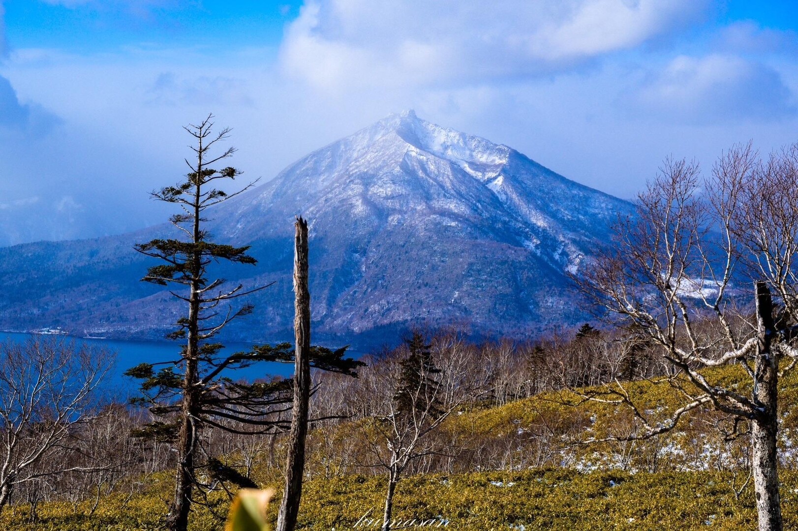 ここからくまさん合流 紋別岳⛰ / rucolaさんの紋別岳の活動データ | YAMAP / ヤマップ
