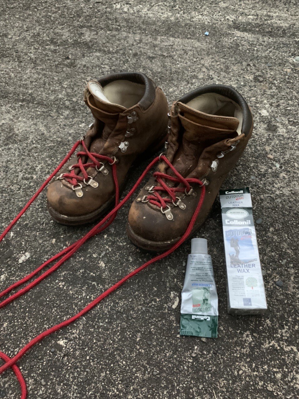 YAMAPのモーメントキャンペーンに間に... / tomさんのモーメント | YAMAP / ヤマップ