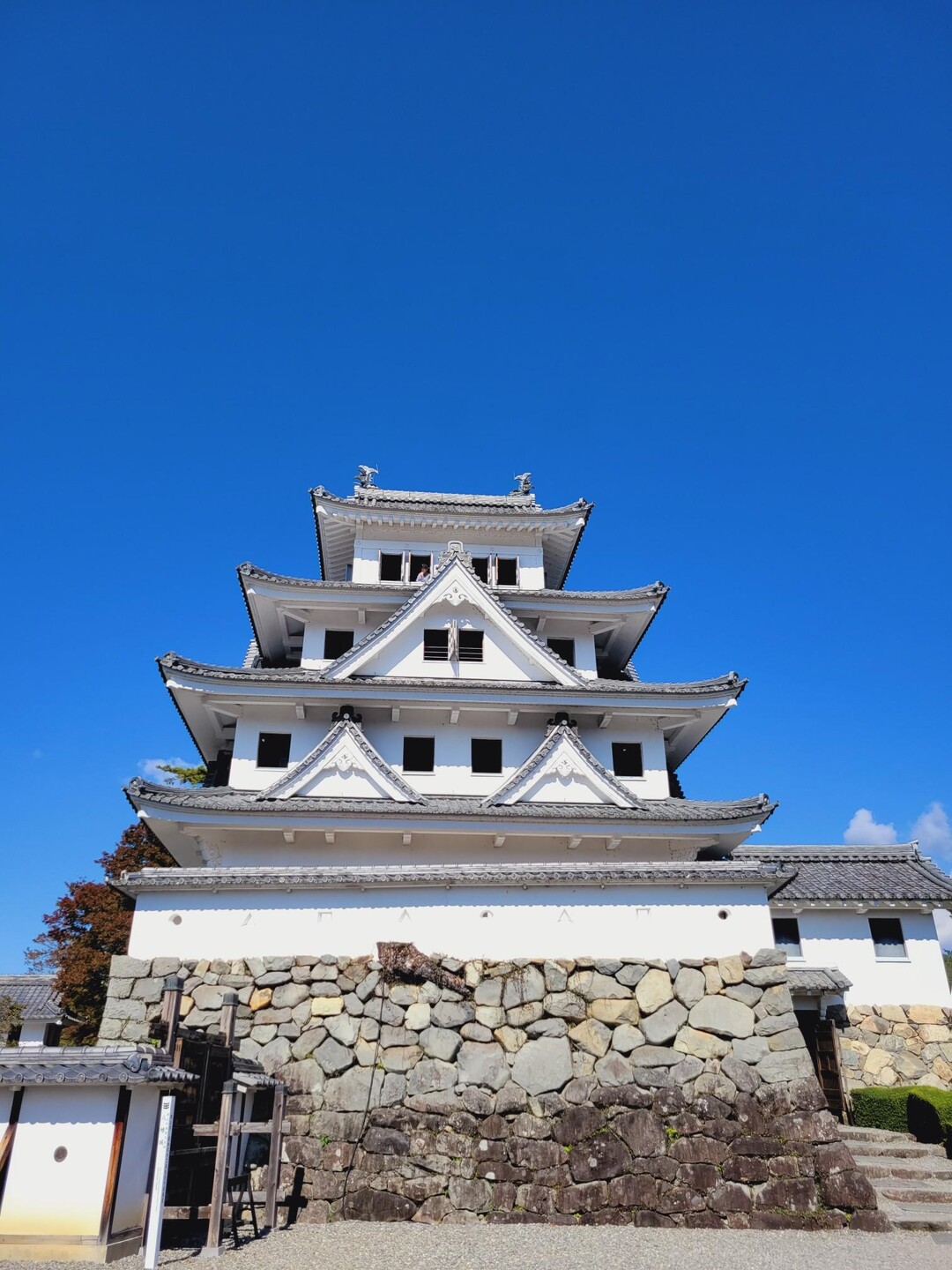 八幡山（郡上八幡城） / yellさんの東殿山の活動データ | YAMAP / ヤマップ