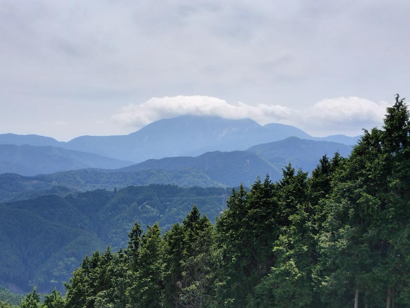 池田山 / climber_piさんの池田山の活動データ | YAMAP / ヤマップ