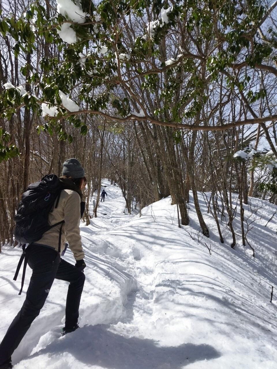 三頭山-2024-03-09 / kn_nkさんのウォーキングの活動データ | YAMAP / ヤマップ