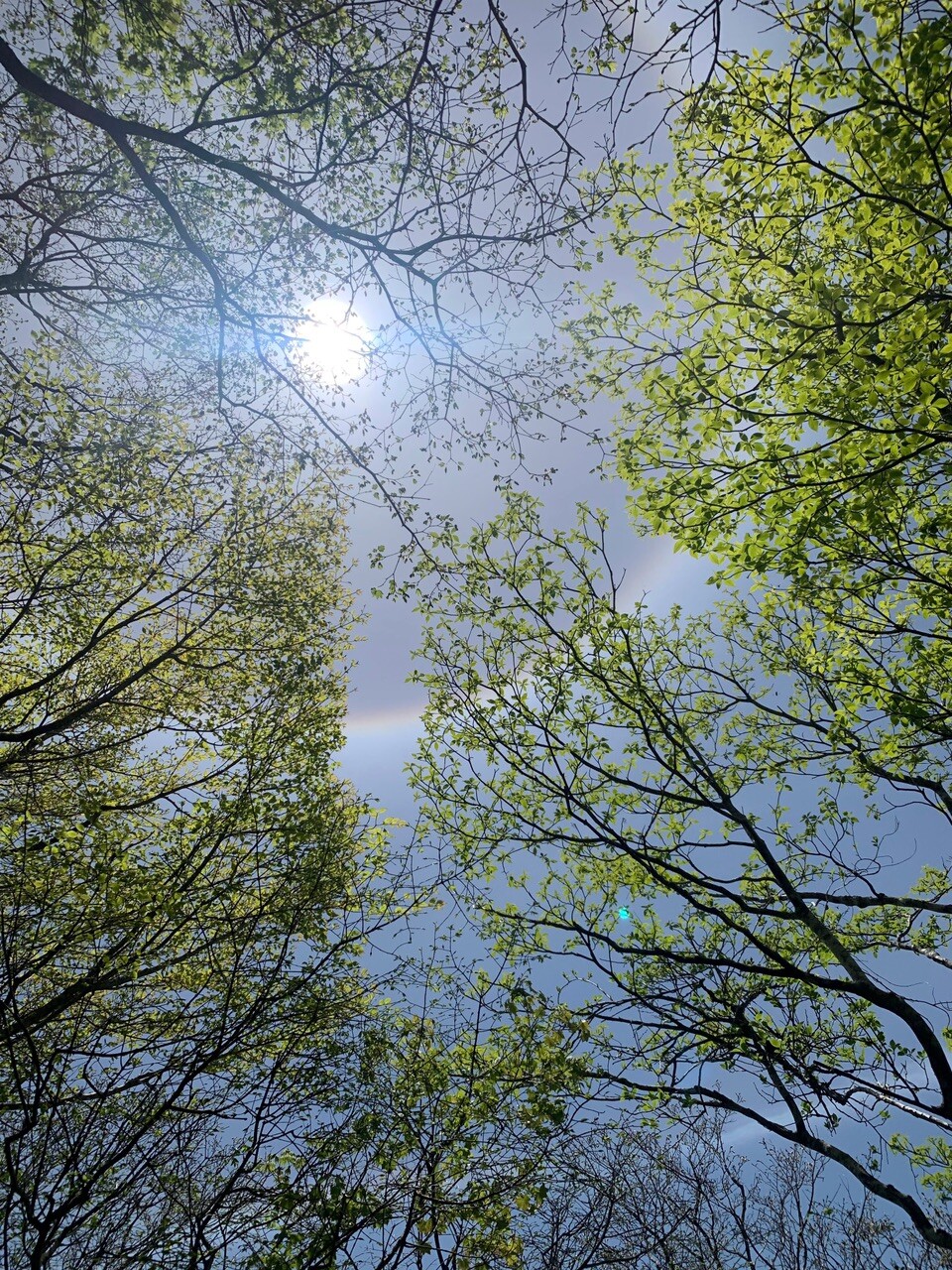 naoのページ | YAMAP / ヤマップ