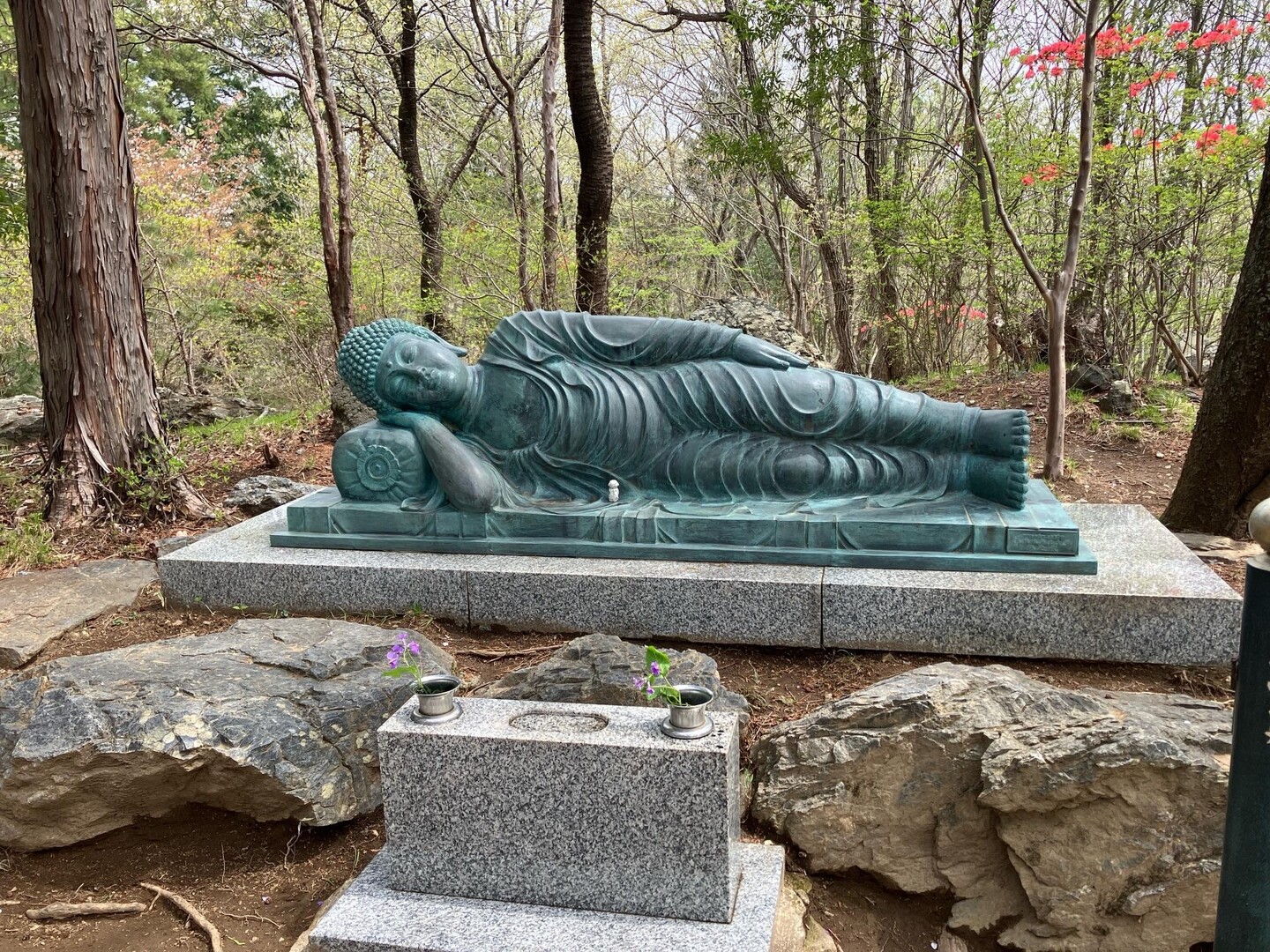 ガッチン山・雷電山・観音山 / REI - KOさんの鳴神山・吾妻山の活動データ | YAMAP / ヤマップ