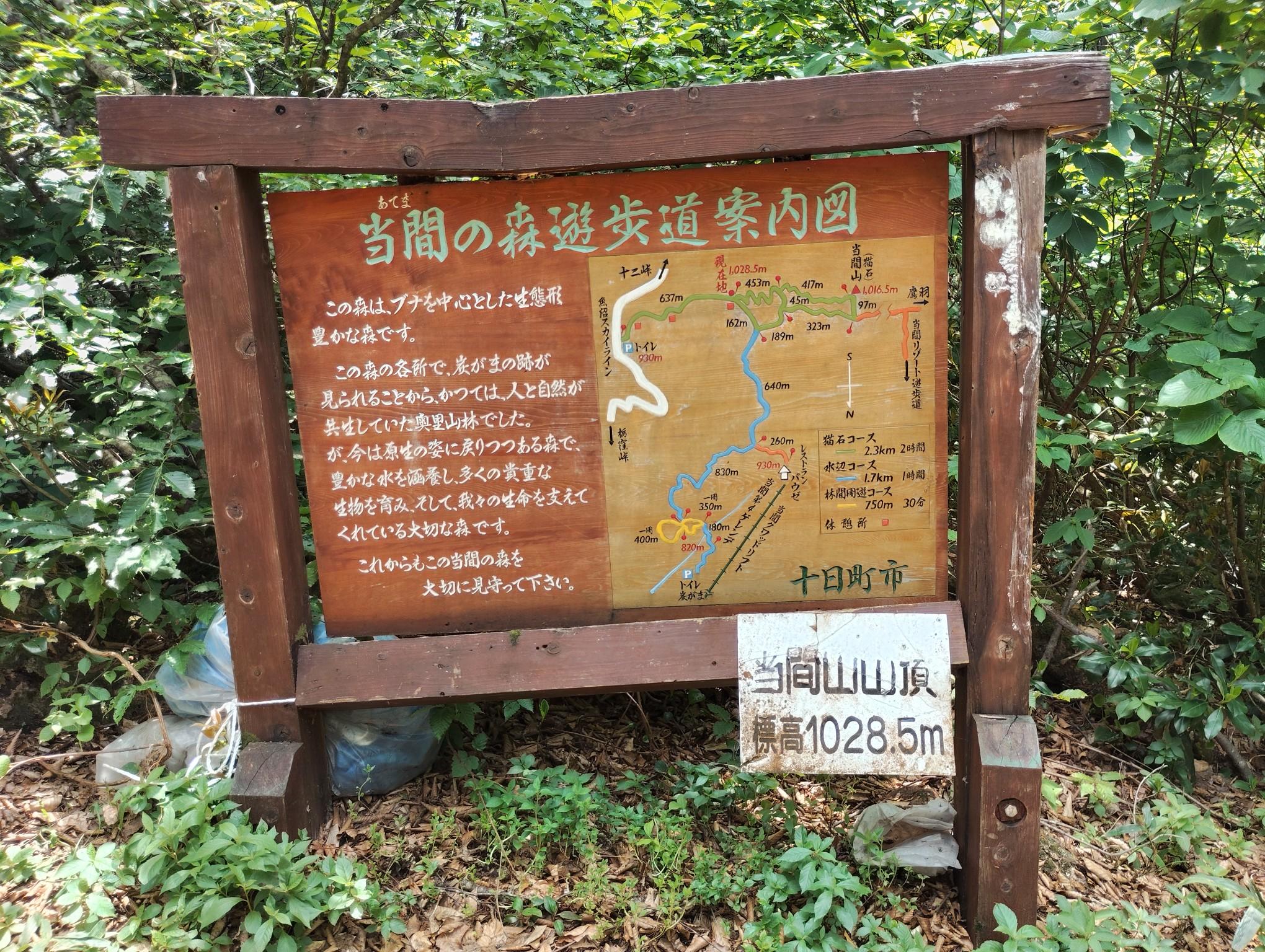 当間山 / ta-さんの魚沼市（中心部）の活動データ | YAMAP / ヤマップ