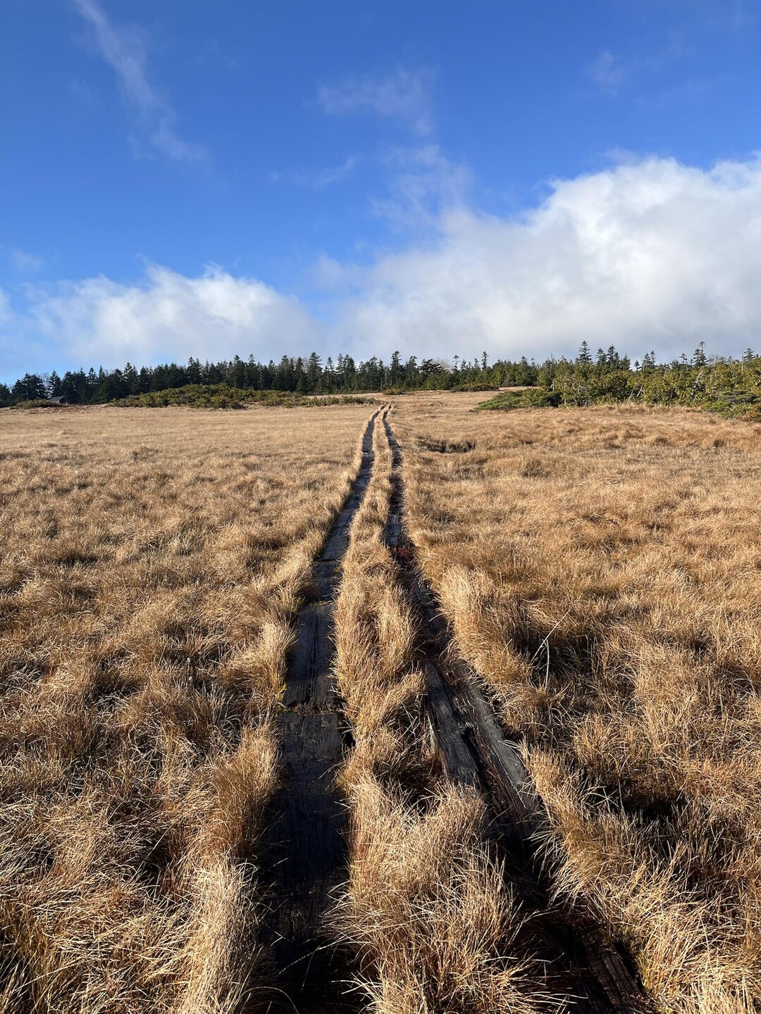 田代山・帝釈山 / bara-jiさんの田代山・帝釈山の活動データ | YAMAP / ヤマップ