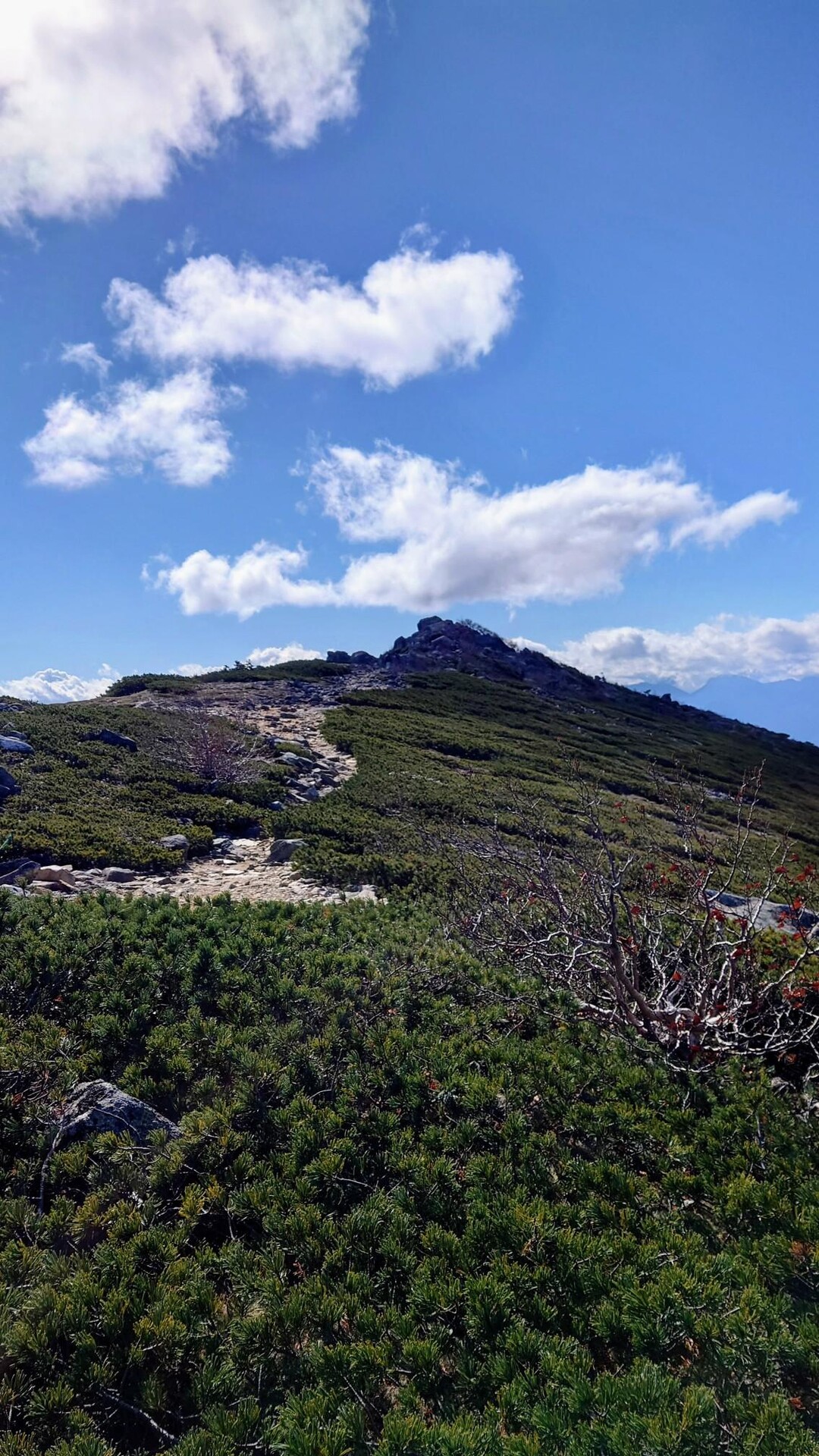 【🥾爽快な金峰山ヘ至る稜線歩きに360度VIEW最高😃】 / トシピーさんの瑞牆山・金峰山の活動データ | YAMAP / ヤマップ