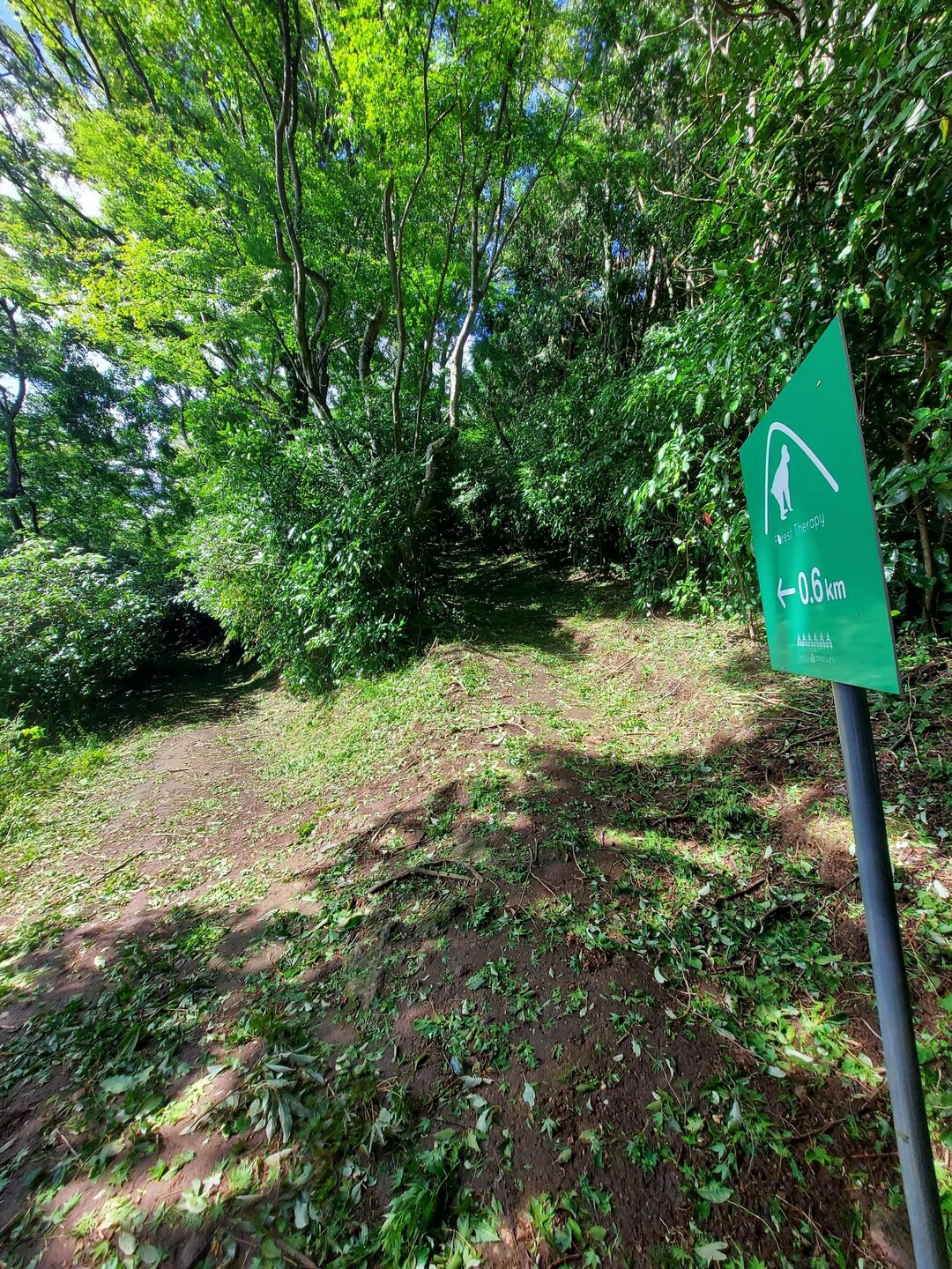 Jasperさんの投稿したフィールドメモ | YAMAP / ヤマップ