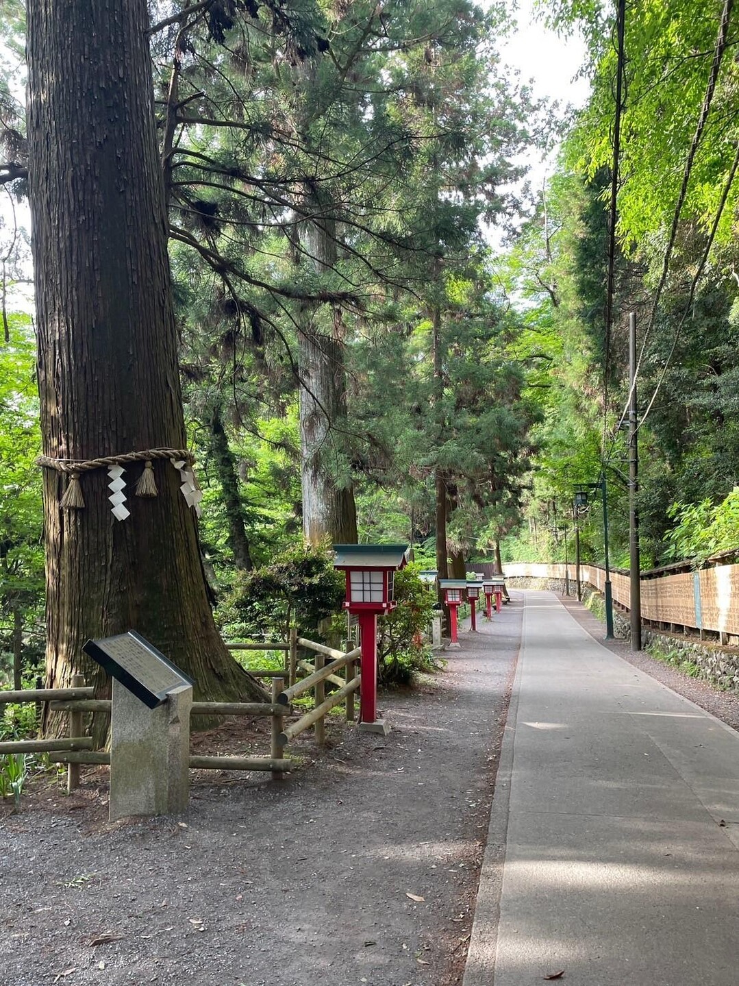 を描きに / J1さんの高尾山・陣馬山・景信山の活動データ | YAMAP / ヤマップ