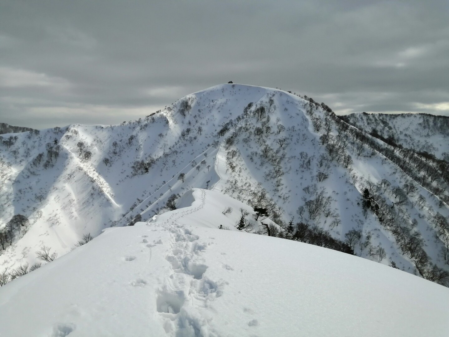 丈競山 / moko5さんの丈競山・浄法寺山・鷲ヶ岳の活動データ | YAMAP / ヤマップ