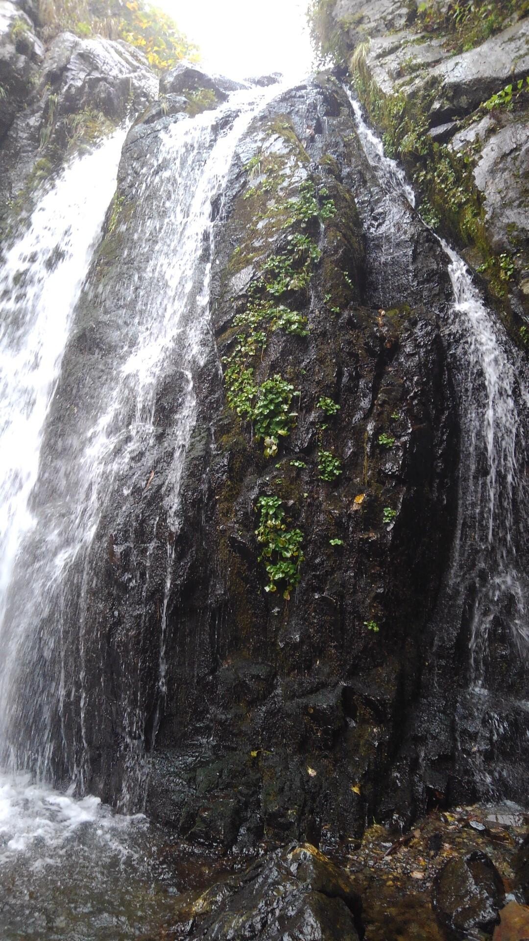 20240929 南会津下ノ沢 / mmdaichiさんの会津駒ヶ岳の活動データ | YAMAP / ヤマップ