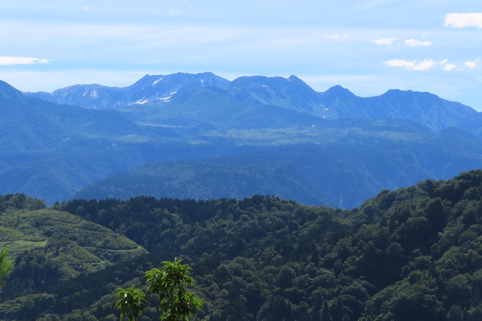 尖山-2024-07-18本道s-本道r / Tona.Yamahasi.E.Sanpoさんの尖山の活動データ | YAMAP / ヤマップ