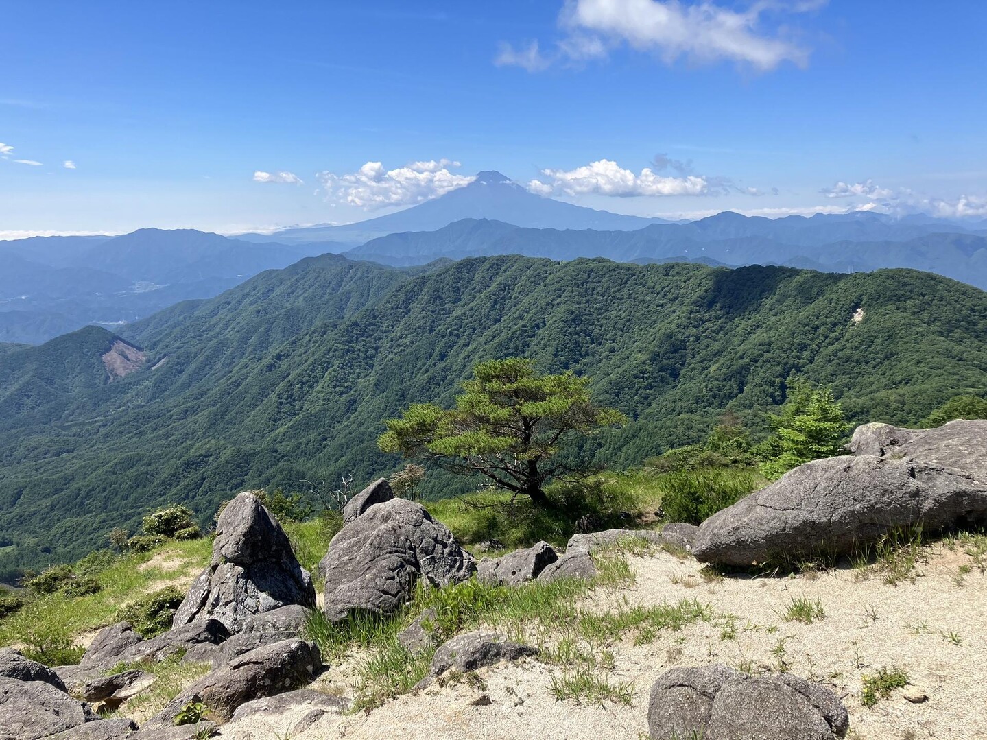 大蔵高丸・ハマイバ丸・白谷ノ丸 / Fumi山さんの滝子山・大谷ヶ丸・笹子雁ヶ腹摺山の活動データ | YAMAP / ヤマップ